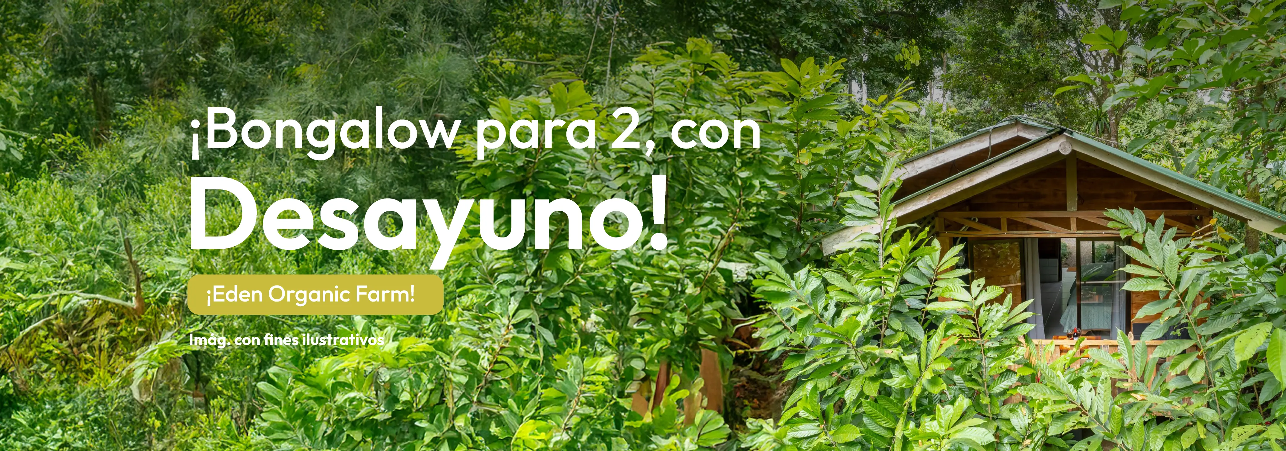 Yuplón | El sitio de ofertas diarias