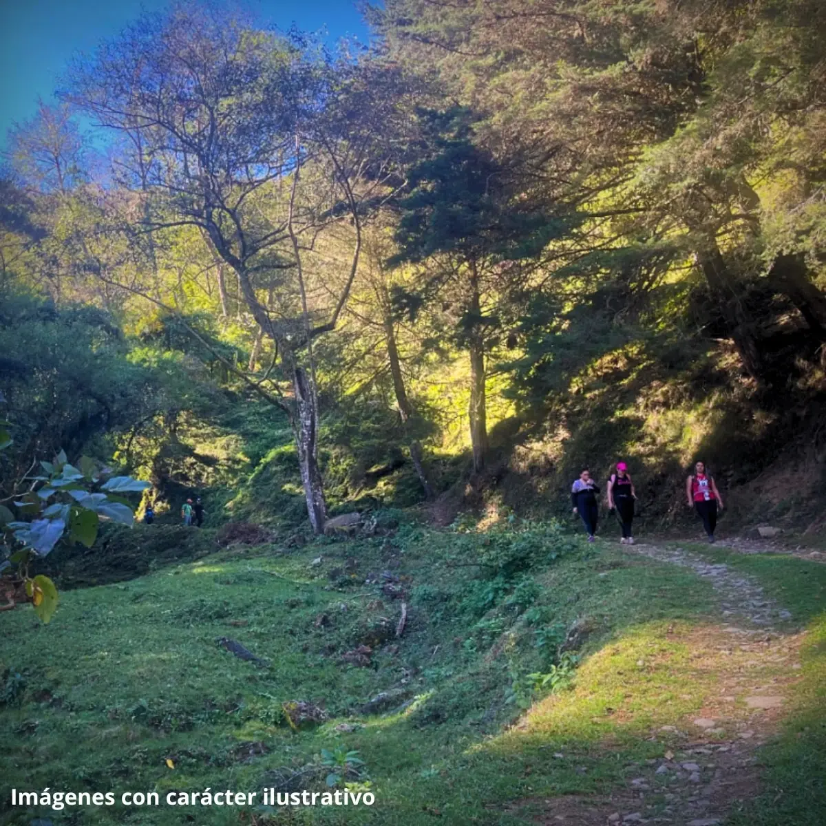 Yuplón | El sitio de ofertas diarias