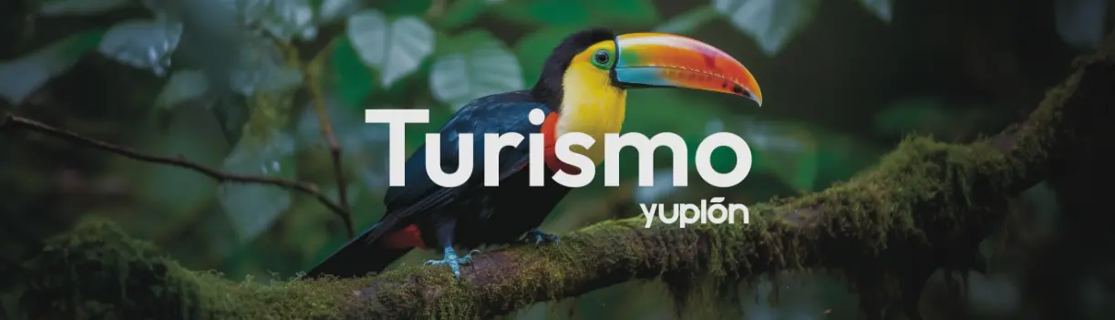 Yuplón | El sitio de ofertas diarias