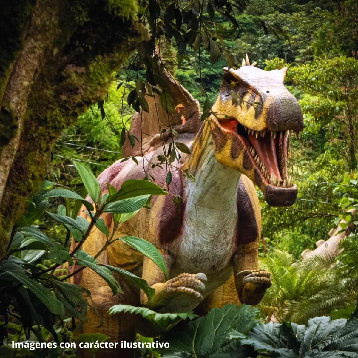 Yuplón | El sitio de ofertas diarias