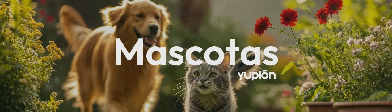 Yuplón | El sitio de ofertas diarias